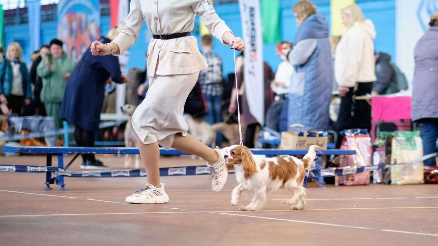UK Dog Events and Shows to Look Forward to in 2026 | Bark Boutique