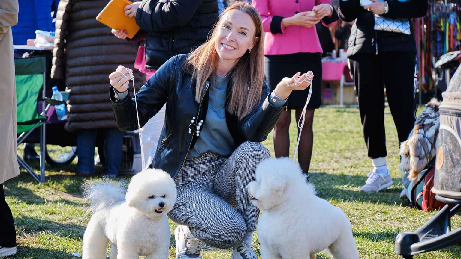 UK Dog Events and Shows to Look Forward to in 2026 | Bark Boutique